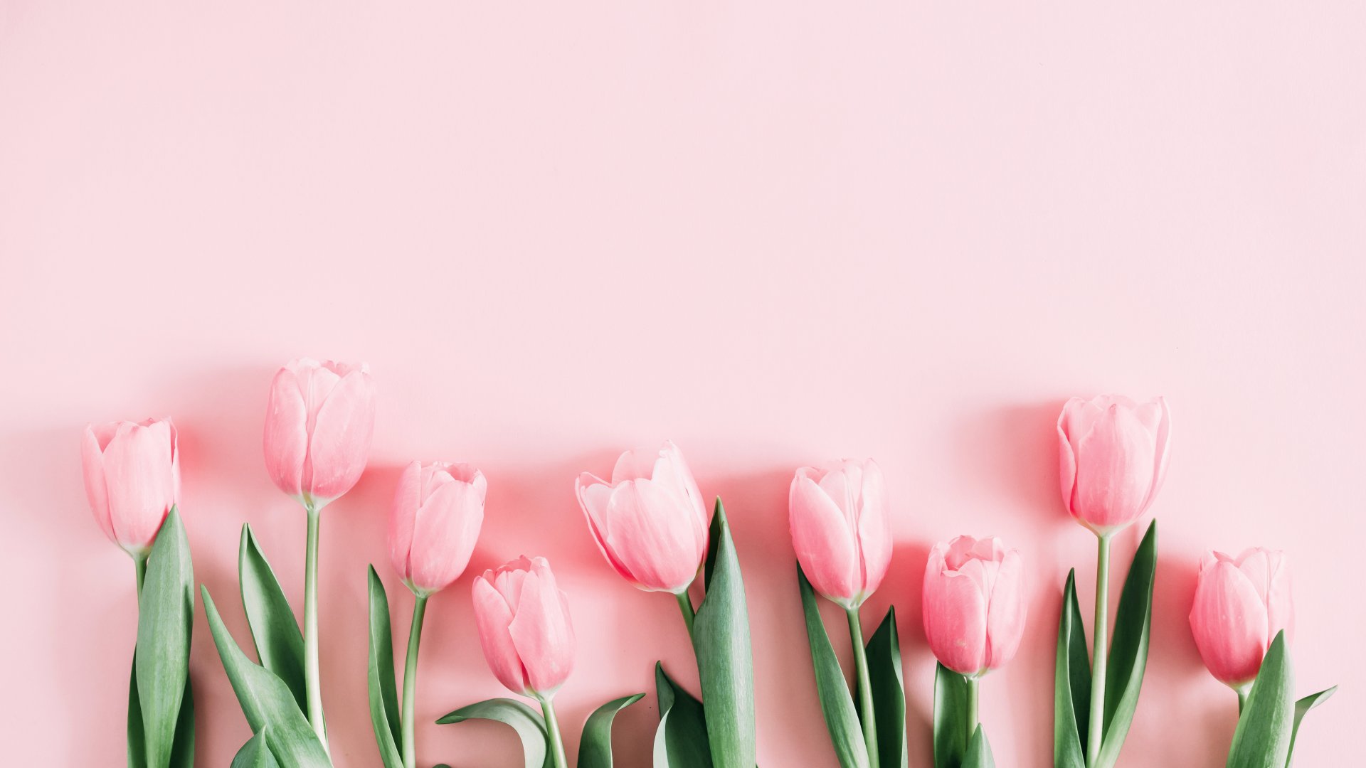 Cedar Rapids, Iowa Official Travel Guide - Cedar Rapids Tourism